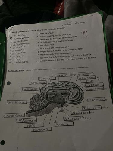 A P Flashcards Quizlet