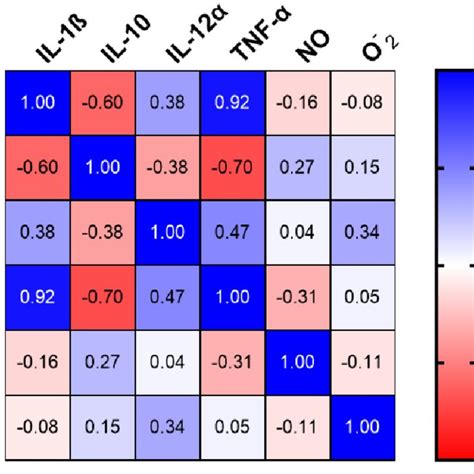 Spearman Correlation Coefficients Between Different Markers Of Download Scientific Diagram