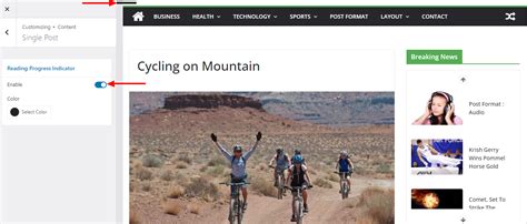Manage Reading Process Indicator Pro Colormag Documentation