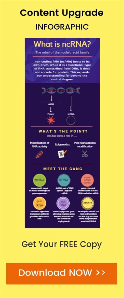 The Importance Of Non Coding RNAs Bitesize Bio