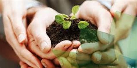 RelaÇÃo Homem E Natureza Parte 1