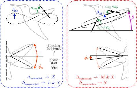 15 Wing Kinematics Parameters Split Into Two Groups According To Download Scientific Diagram