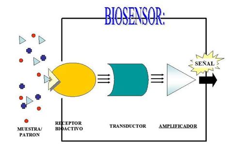 Biosensores o cómo el médico podrá detectar el tumor en la primera visita