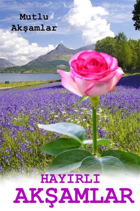 Pin von Istvánné Balogh auf Hadasa