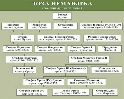 Завида Династија Немањић