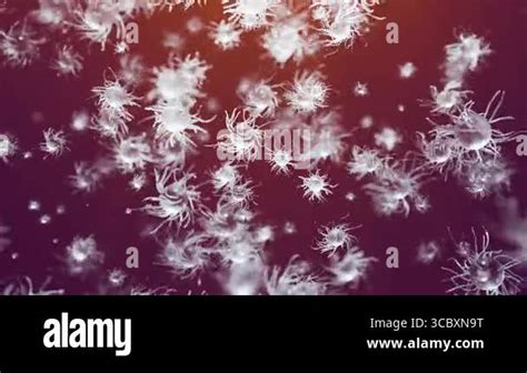 Different Types Of Virus And Bacteria And Microbe And Germs Set Microbiology Organism Biology