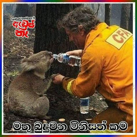 Uniquet Uniquet Added A New Photo