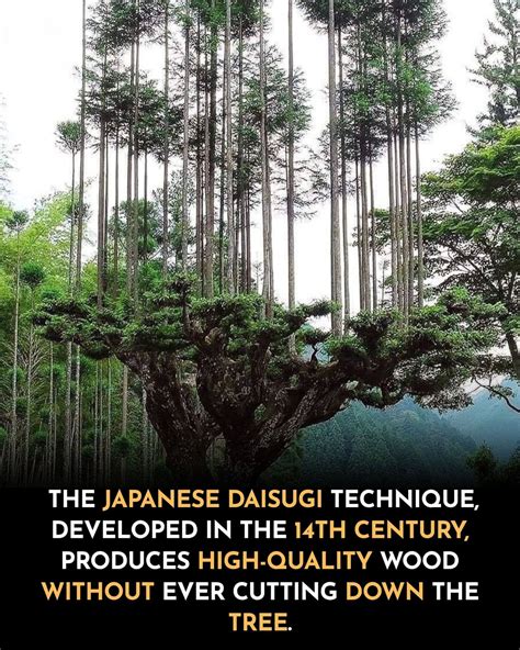 This Is The First Image Ever Captured History And Mystery Facebook