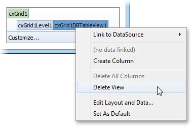 Connecting To Data In Server Mode VCL DevExpress Documentation