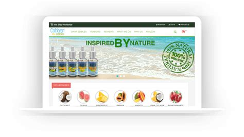 Nopcommerce Development Company Services Skg Infosolutions