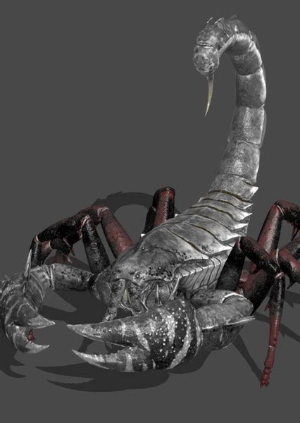 Pulmonoscorpius Fan Casting