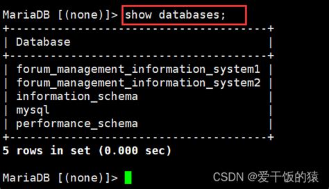 Linux部署web项目 阿里云开发者社区