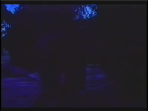 I Ate A Pi Streaming Video On Demand Adult Empire