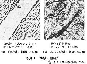 Japanese English Dictionary Japaneseclass Jp