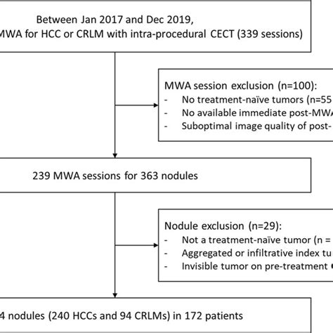 Patient With Hepatocellular Carcinoma Hcc Treated With Microwave