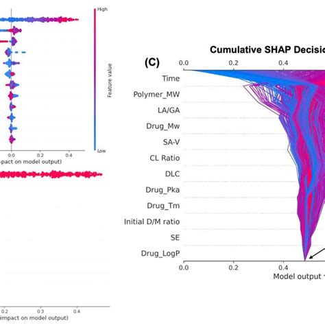 A Shapley Additive Explanations Shap Analysis For The 12 Feature Rf
