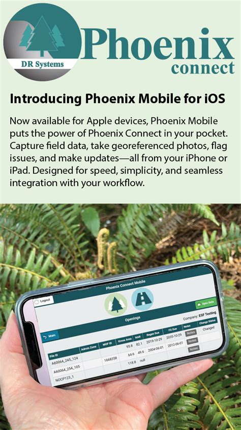 Novel Research Reveals Thriving Microbial Life In Trees Tree Frog