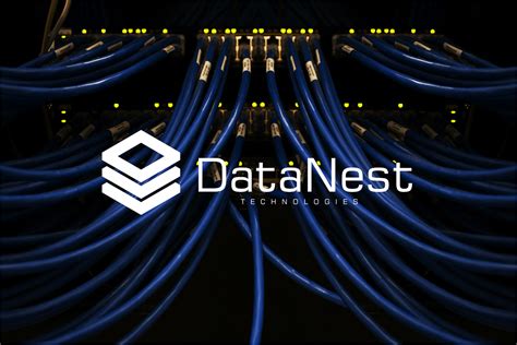 Datanest Brand Identity Behance