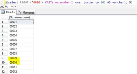 Knowledge Is Here Sqlserver Integer Format