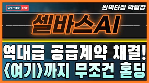 셀바스ai 미국 시장 진출 셀바스ai 주가 전망 및 대응 Youtube