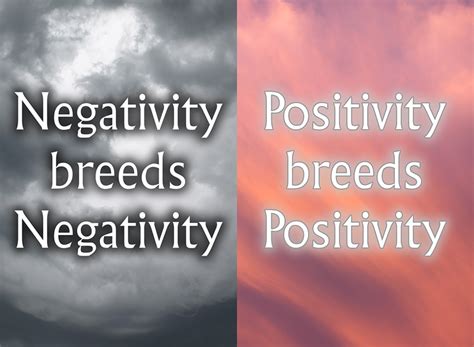 Negativity Breeds Negativity Positivity Breeds Positivity