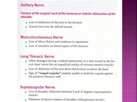 Injuries Of Brachial Plexus Pptx