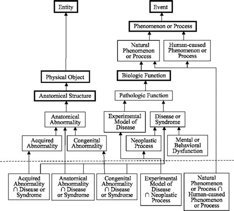 Excerpt Of The Refined Semantic Network Pure Semantic Types Are Above