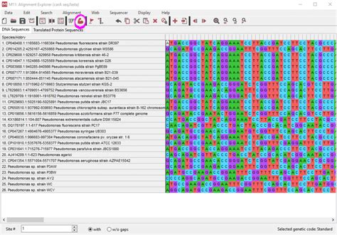 Phylogenetic Tree Construction James White Laboratory