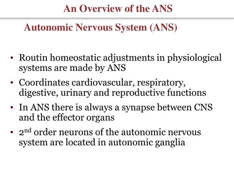 PPT Lecture 12 Chapter 16 Neural Integration II The Autonomic Nervous System And Higher