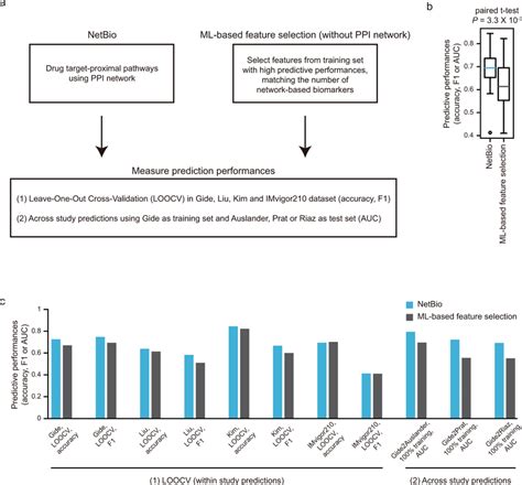 Comparison Of Predictive Performance Using Machine Learning Based Download Scientific Diagram