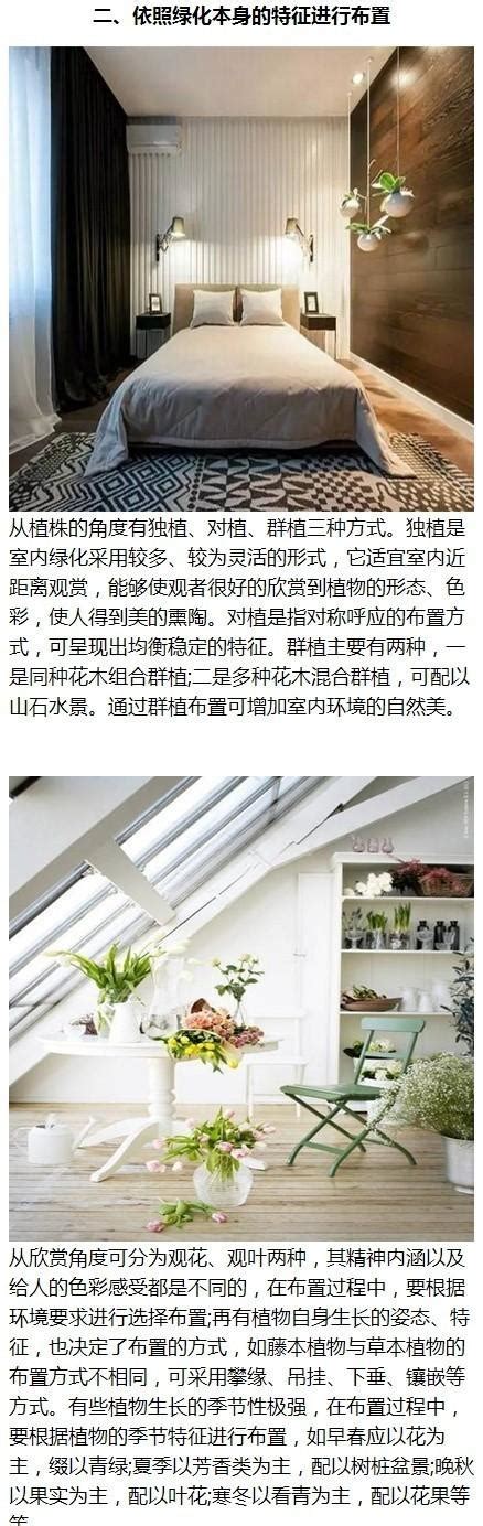 技巧 家居綠植究竟怎麼擺你只需掌握這七個要點 每日頭條