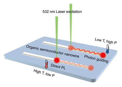 苏州大学都薇、王涛、王雪东教授团队aom：有机半导体纳米线中光子的自增益传导分子guidingorganic