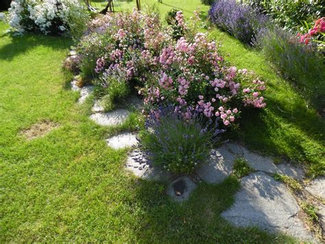 Ogród Tamaryszka ROMANTYCZNY OGRÓD