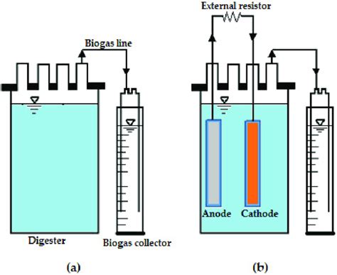 Schematic Diagram Of The Digesters A Control With No External