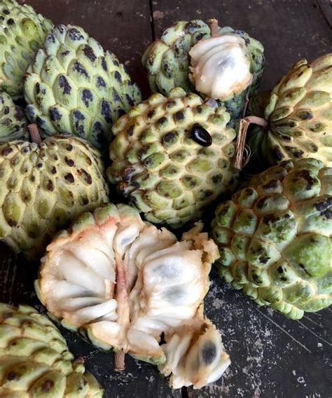 Best Winter Ashta Fruit Fresh And Local