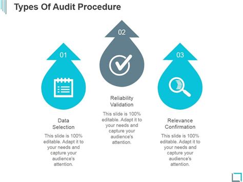 Types Of Audit Procedure Ppt PowerPoint Presentation Show