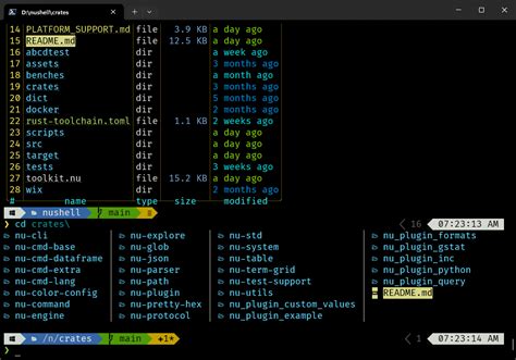 A Feature Like Auto Title In Zsh · Issue 10833 · Nushellnushell · Github