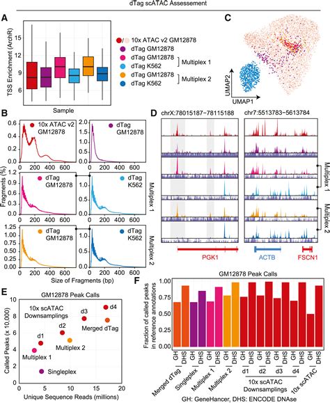 Accessible High Throughput Single Cell Whole Genome Sequencing With Paired Chromatin
