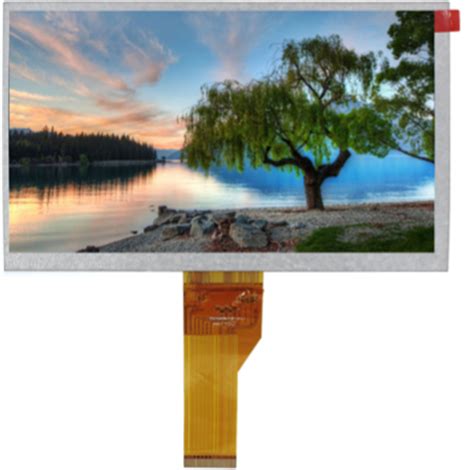 Inch X TN RGB Interface Golden Vision