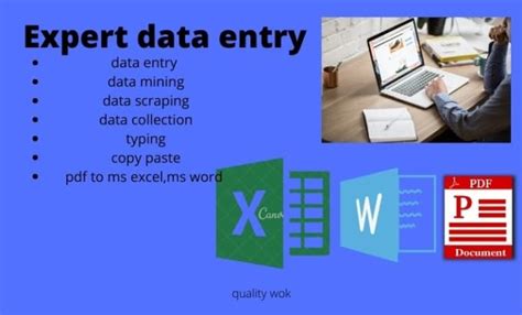Do Excel Data Entry Data Mining Web Scraping Web Research By