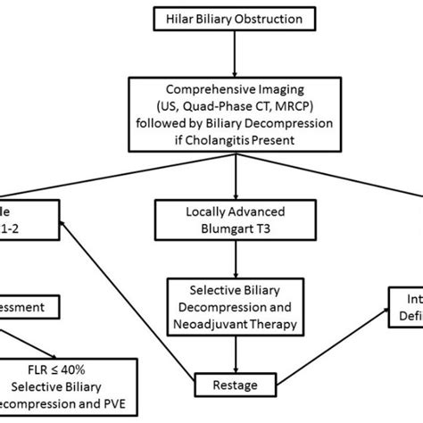 Algorithm For Preoperative Assessment And Management Of Patients With
