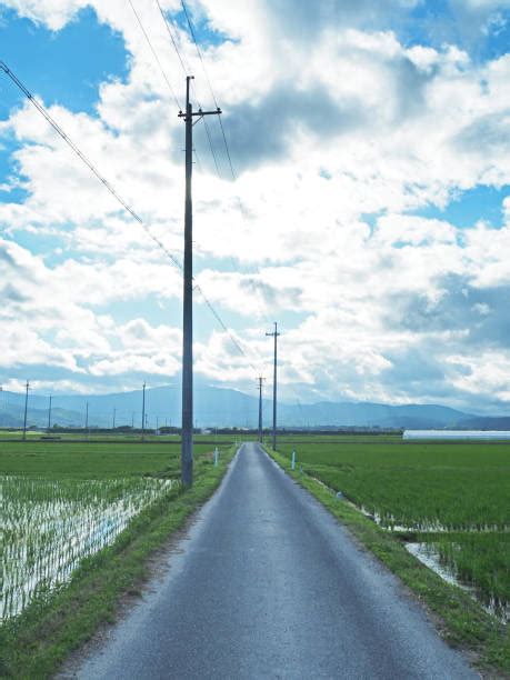 Team14project Object Detection Dataset By Objectdetection