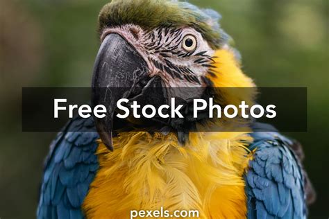 Beautifulbikiniass Photos Download The Best Free Beautifulbikini