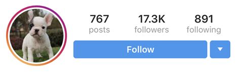 What Does Followers And Following Mean On Instagram