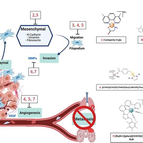 General Process Of Metastasis During The Metastasis Process Tumor Download Scientific Diagram