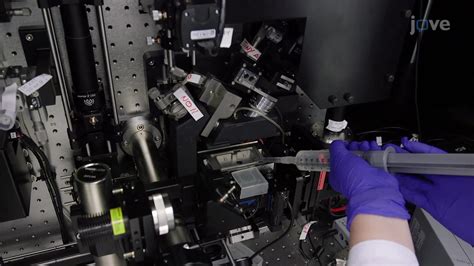 Video Lattice Light Sheet Microscopy To Visualize Receptor Ligand Interactions In Live Cells