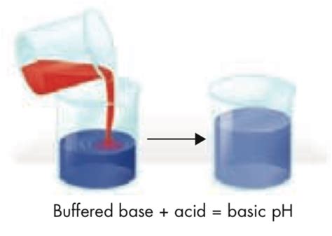 Unit 2 Building Blocks Of Life Unit 1 Process Of Science Unit 3