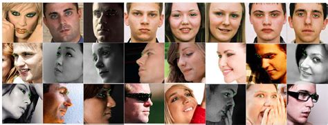 Figure 11 From Robust Facial Landmark Detection Via Heatmap Offset Regression Semantic Scholar