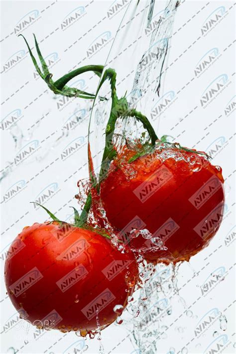 Tomato Paste Can Factory In Africa Canned Co