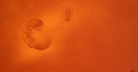 Ed Ruscha Works Gildens Art Gallery